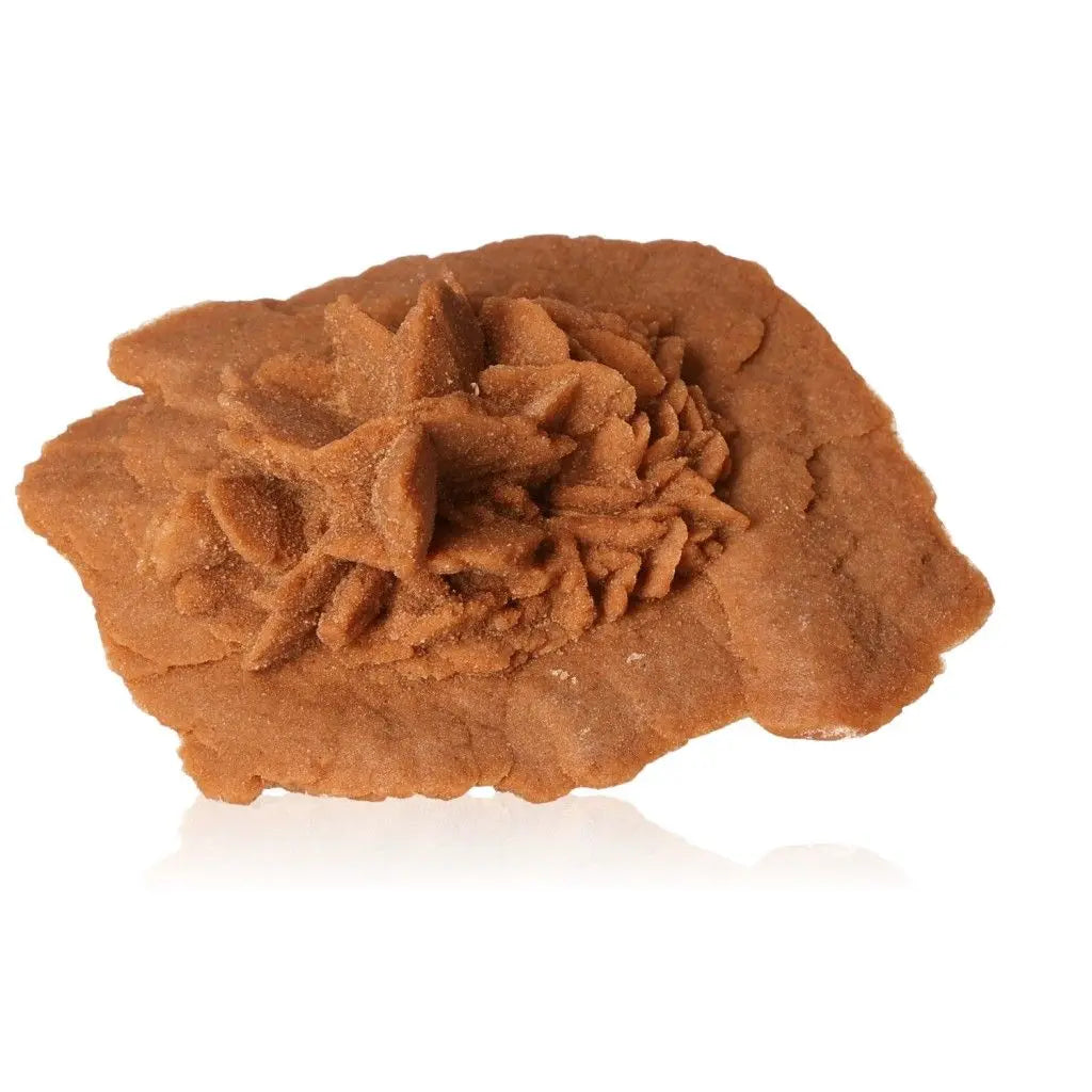 Desert Roses: Resilient Beauty in Stone | Sylvia Crystals